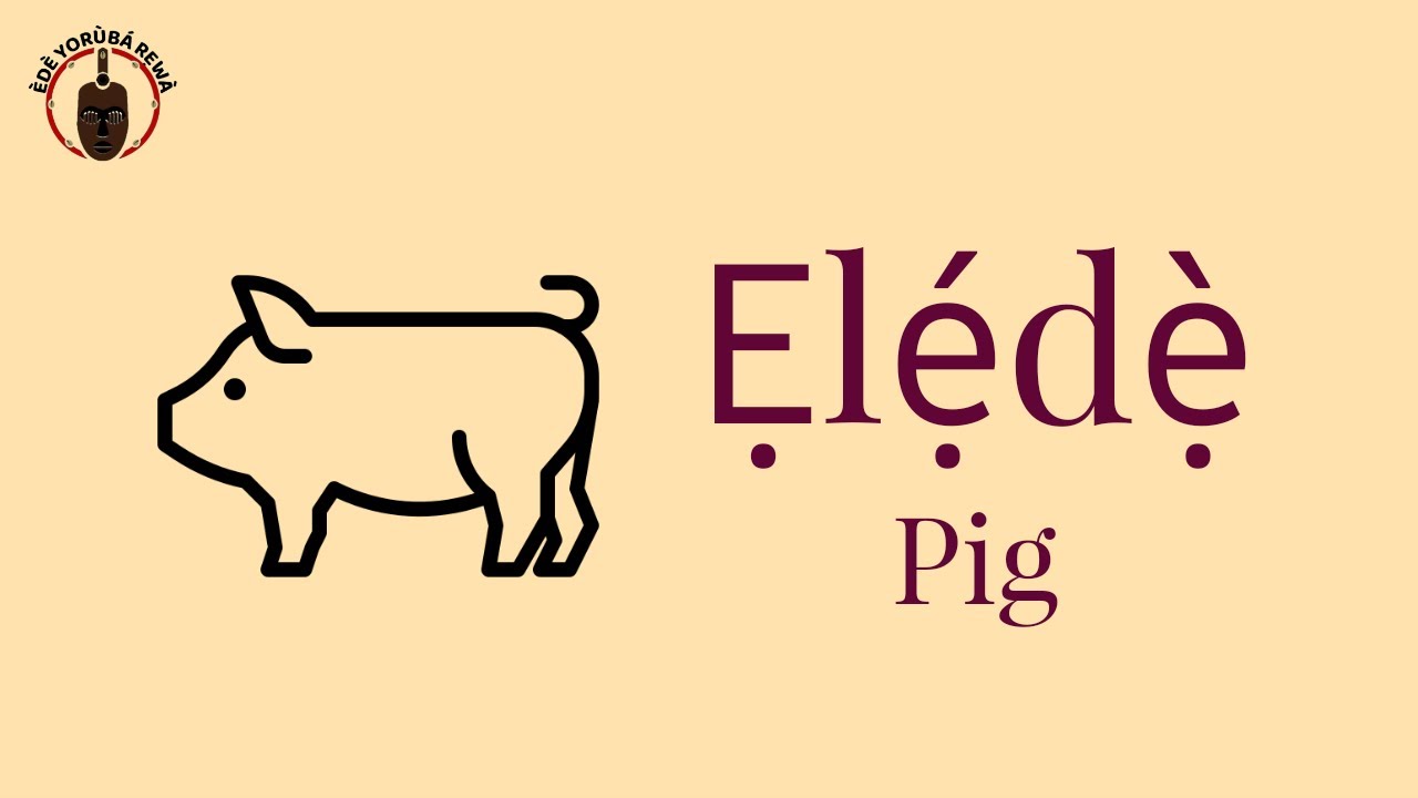 ELEDE - How To Pronounce and Write Animals in Yoruba | African ...