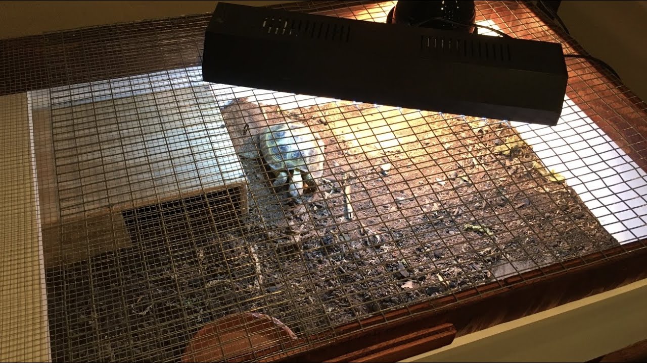 Building An Entire Tortoise Table Out Of Scape Material!!! | DIY ...