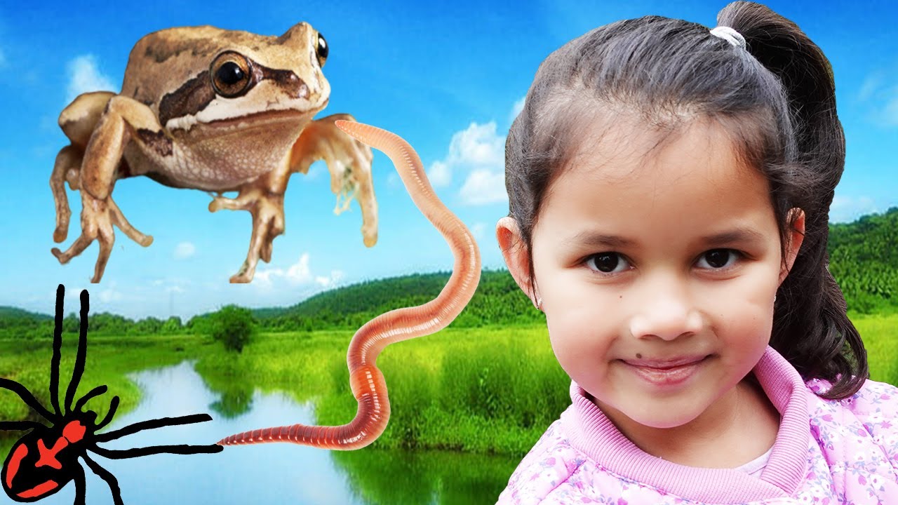 Zoe's BUG HUNT ADVENTURE! NATURE WALK, Spiders, Centipedes, Worms & BUGS! - YouTube