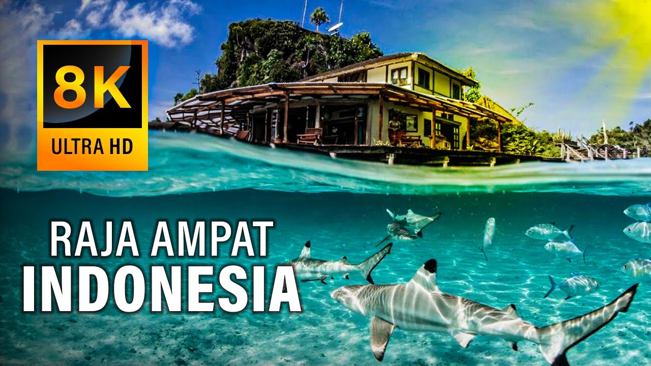 Unveiling Raja Ampat, Indonesia - An 8K Paradise Found Relaxing Drone ...