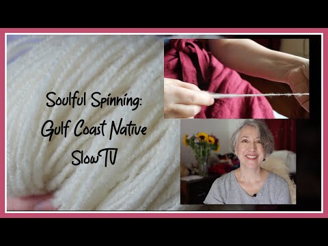 Soulful Spinning: Carding and Spinning Gulf Coast Native Fleece