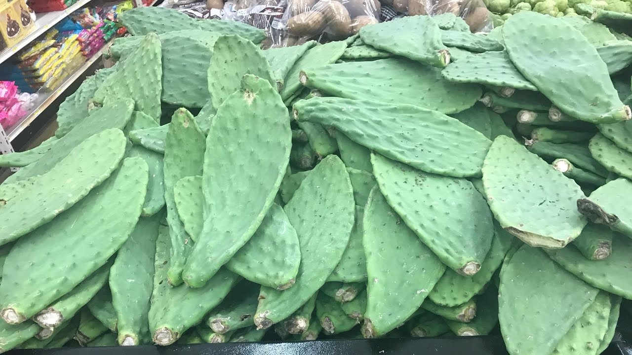 stir fried cactus - món ăn lạ- xương rồng sào tỏi - YouTube