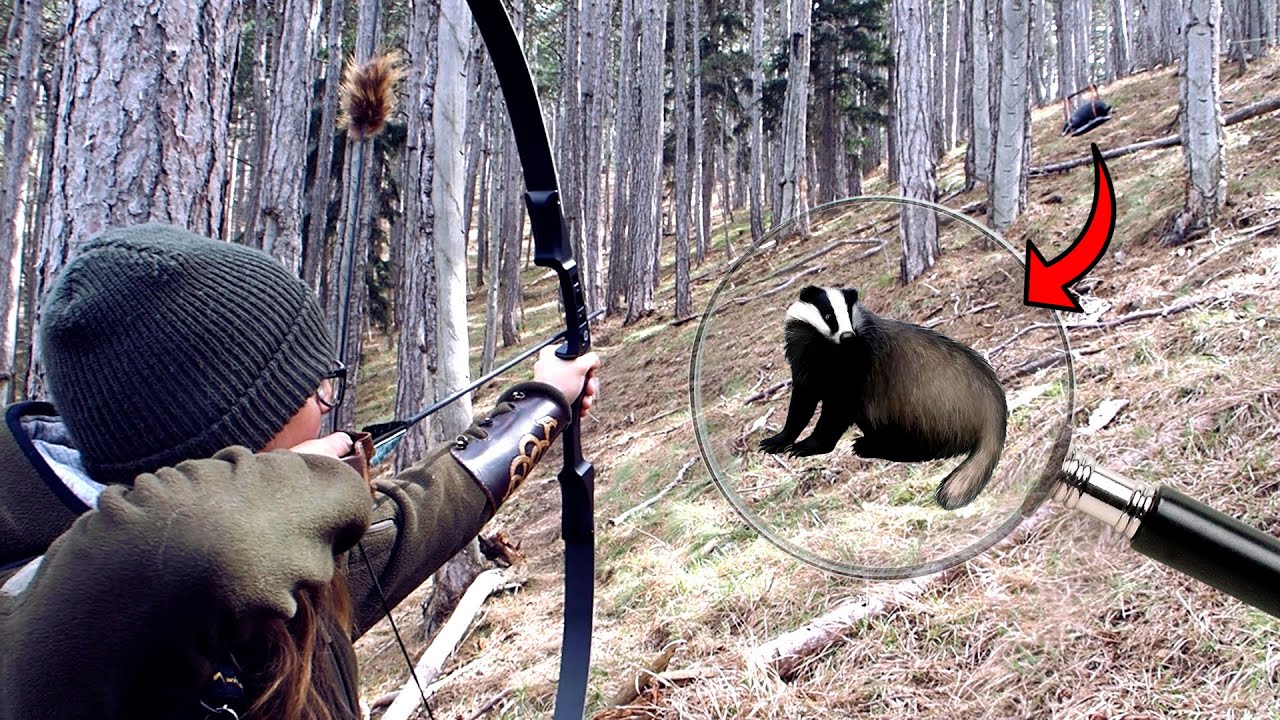 Can I hit a running badger with a recurve bow? - YouTube
