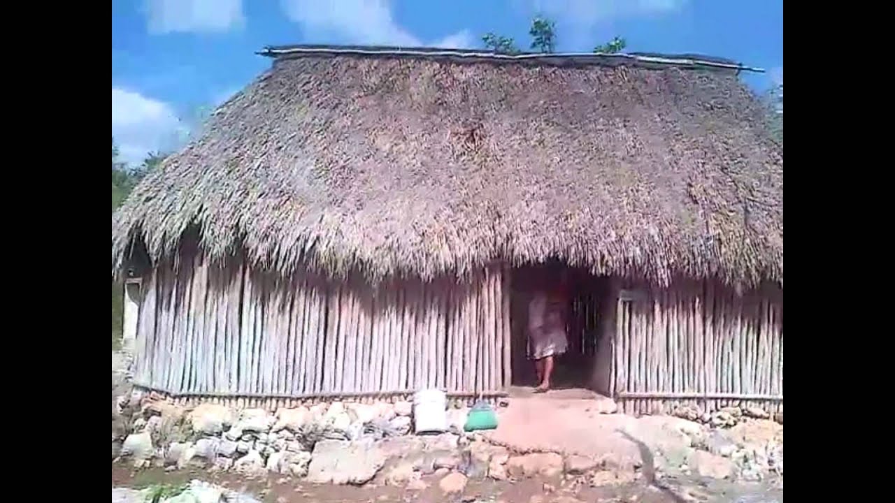 Yaxche y su gente. Quintana Roo, zona maya - YouTube