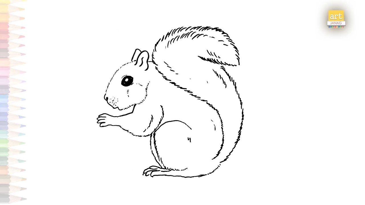 Squirrel drawing easy 05 | Rodent drawing | How to draw A Grey squirrel ...