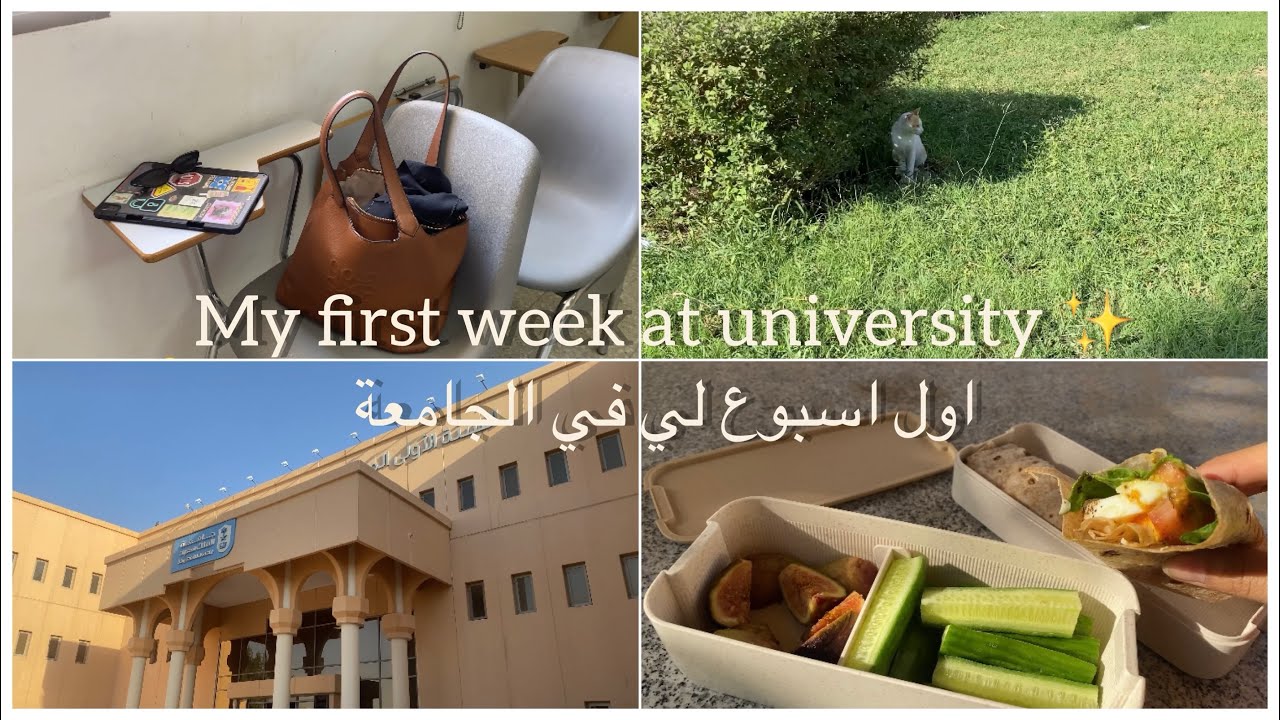 اول اسبوع لي في الجامعة #ksu - YouTube