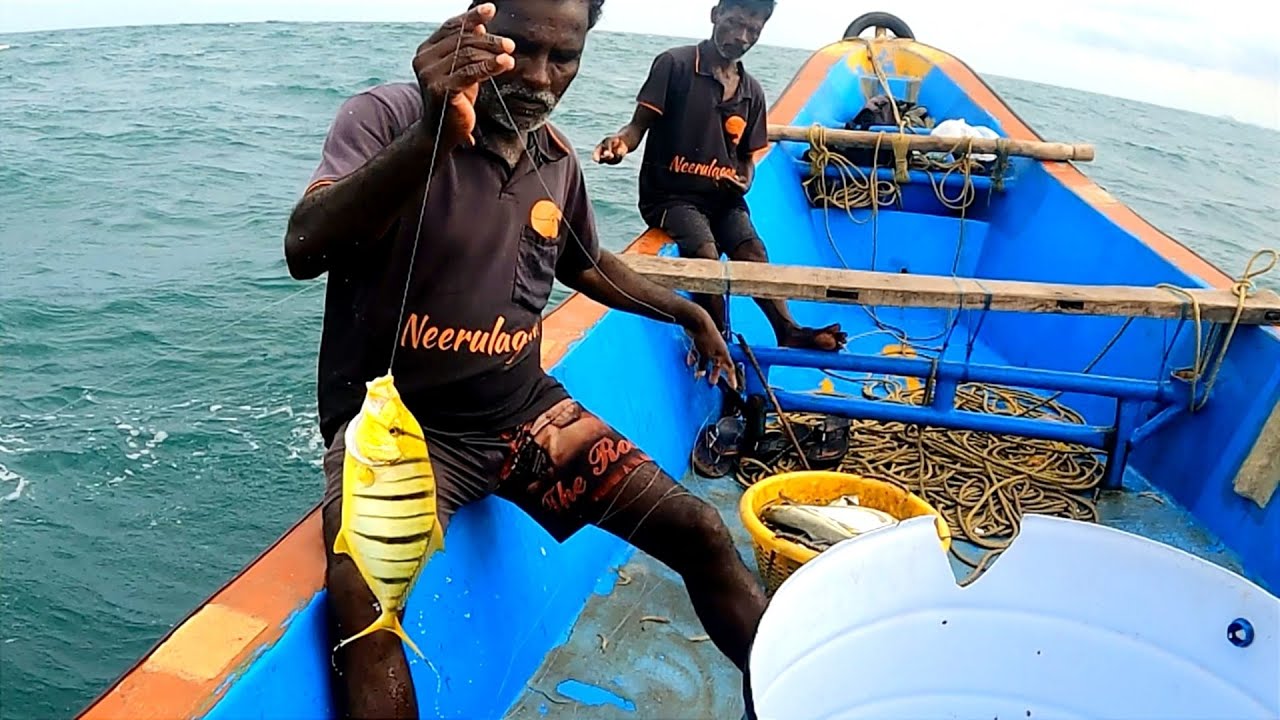 Fishing Videos in Sea - YouTube