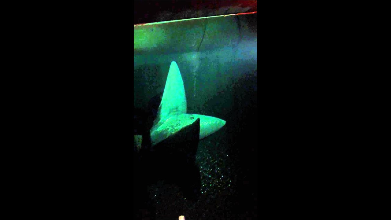 Paranormal Activity in Queen Mary's Propeller Room - YouTube