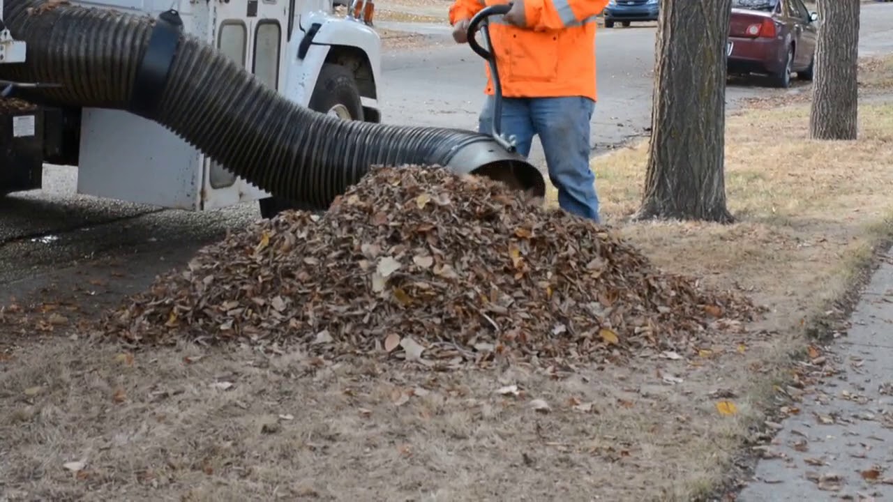 Leaf Collection 2017 - YouTube