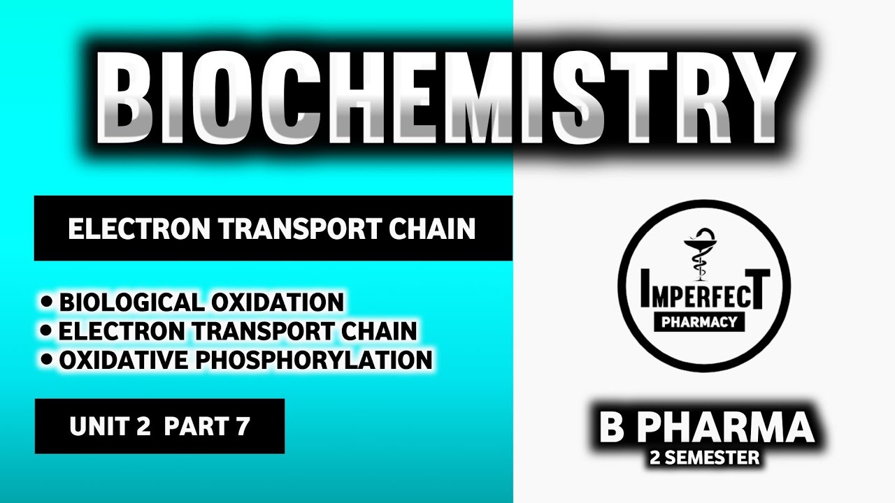 Electron Transport Chain | Oxidative Phosphorylation | Biological ...