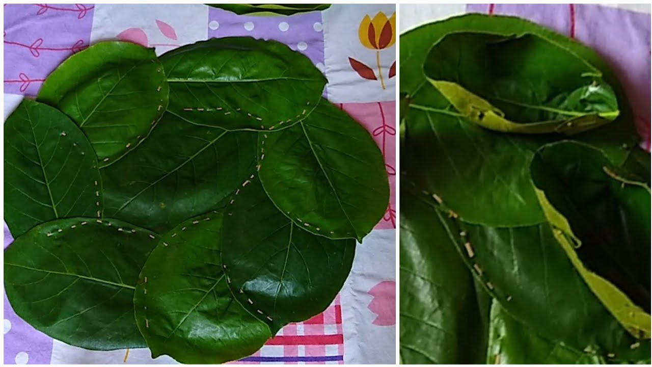 vistaraku thayari| leaf plate|leaf crafts |how to make natural plate ...