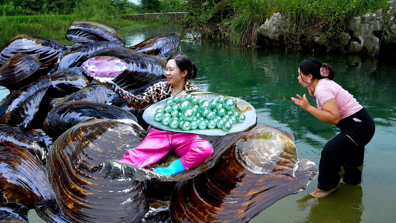 🎁🎁Giant clams growing in the spring water contain high-quality pearls ...