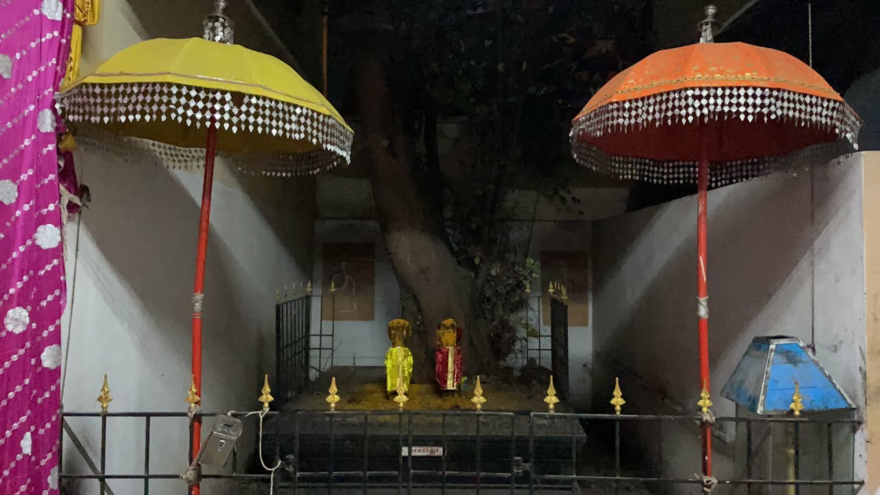 Live: Special Naga Pooja - Feb - 2023 - YouTube