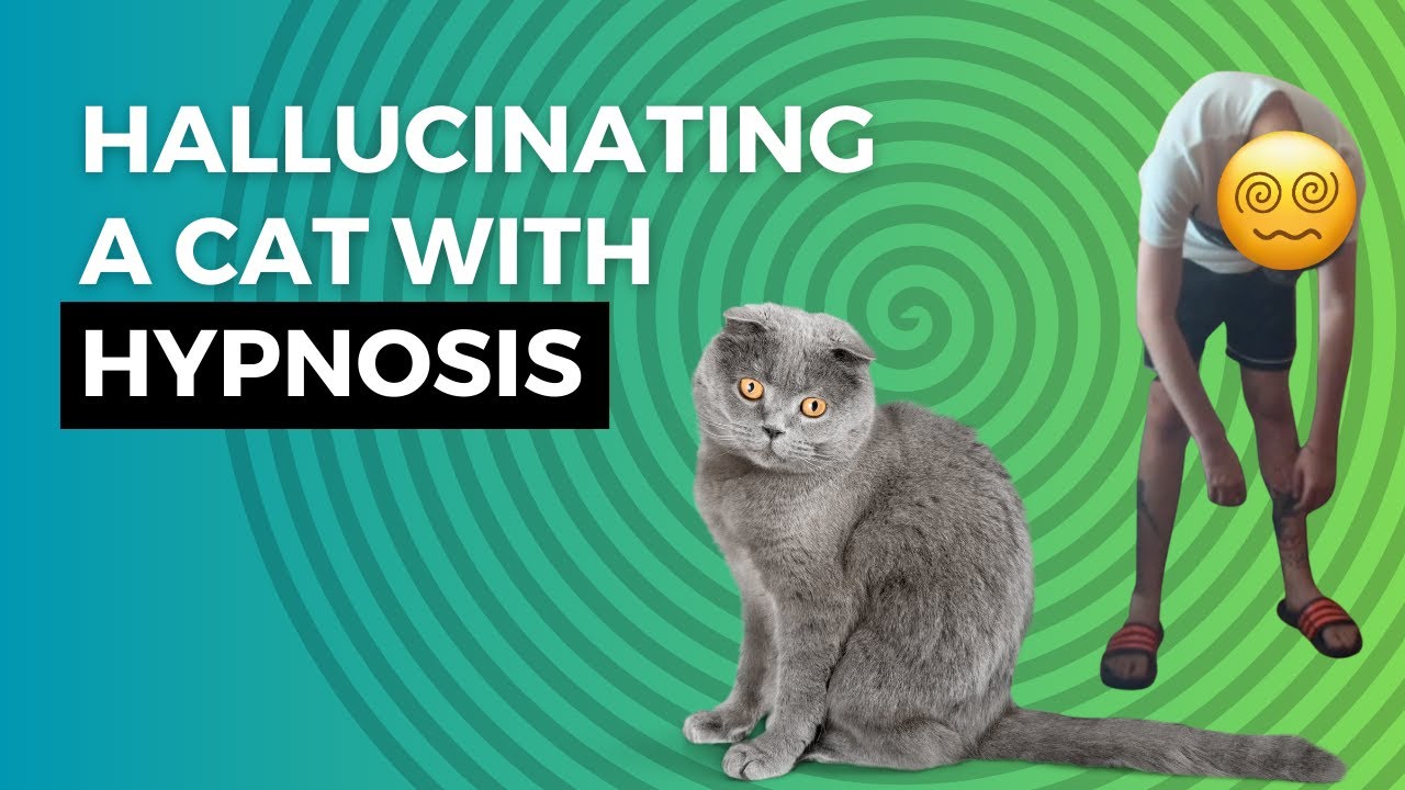 Hypnosis Demonstrations - Power of the Mind - YouTube