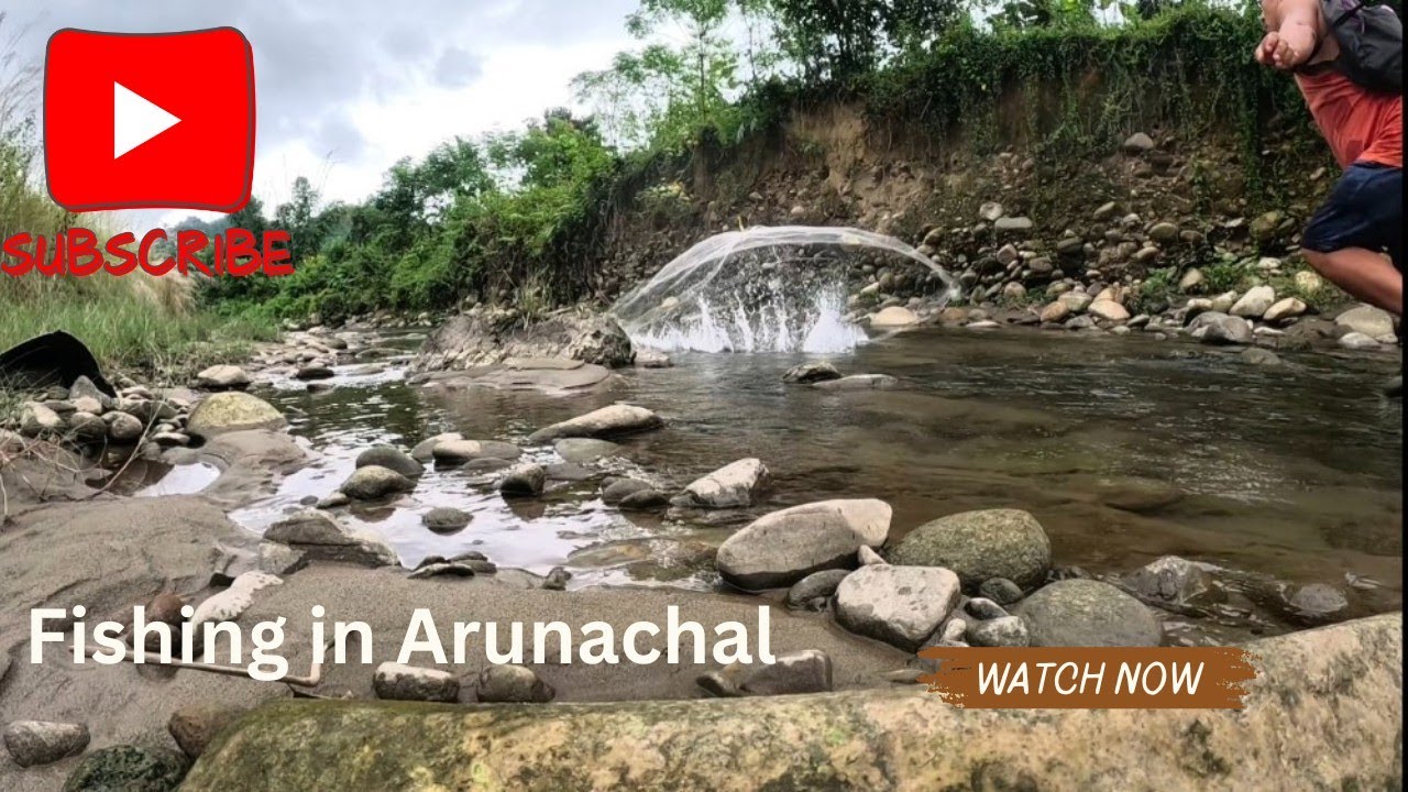 Fishing in Arunachal/river fishing/river adventure/net fishing ...