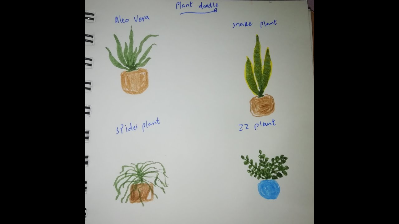 How to draw plant doodles? step by step guide - YouTube