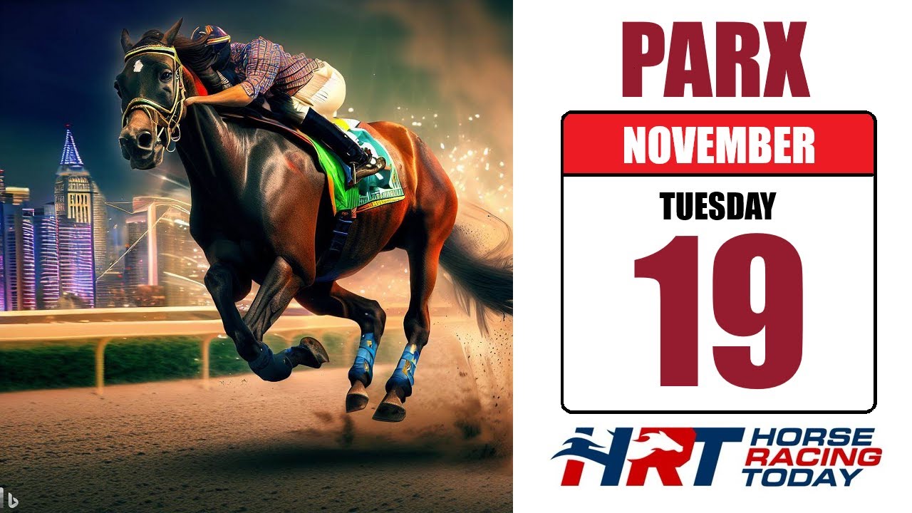 PARX Racing Picks Live Stream – November 19, 2024 – Horse Racing Today ...