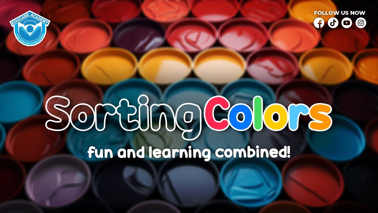 🎨 Class ECD I Indoor Activity: Exploring and sorting vibrant colors—fun ...