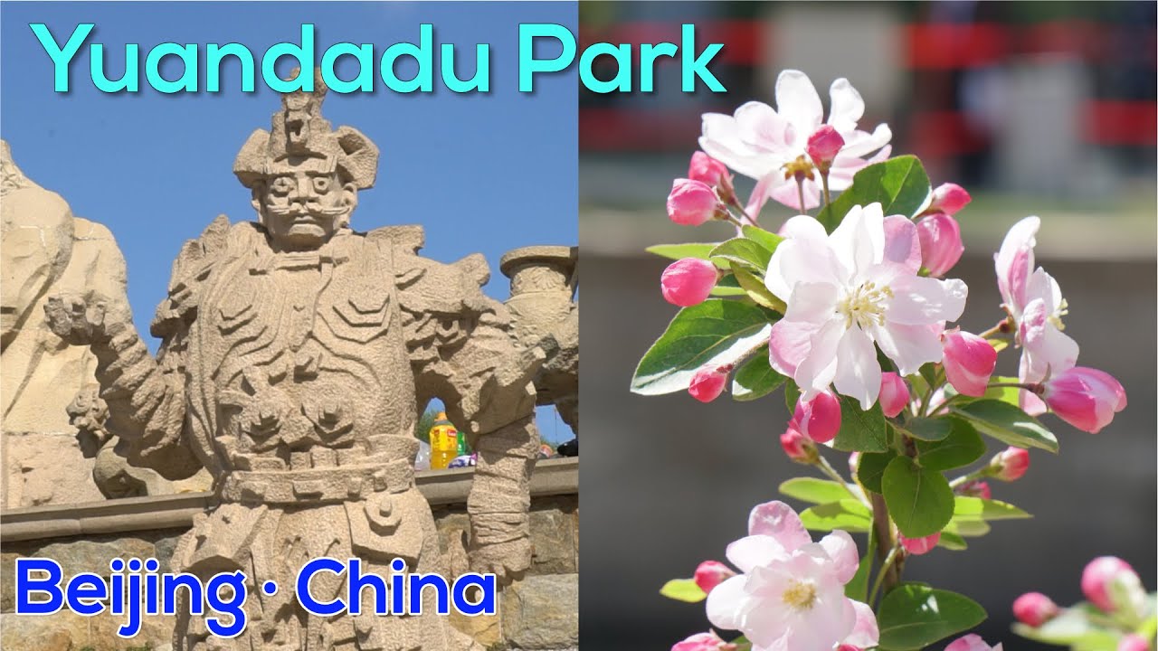 Enjoy Spring in Yuan Dadu City Wall Ruins Park | Scenic Spot in Beijing ...