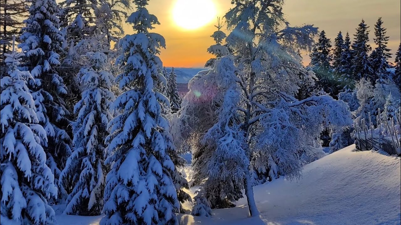 Snowshoe hike through Bymarka, Trondheim, Norway - YouTube