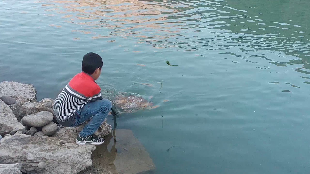Fishing in sarubi Afghanistan - YouTube