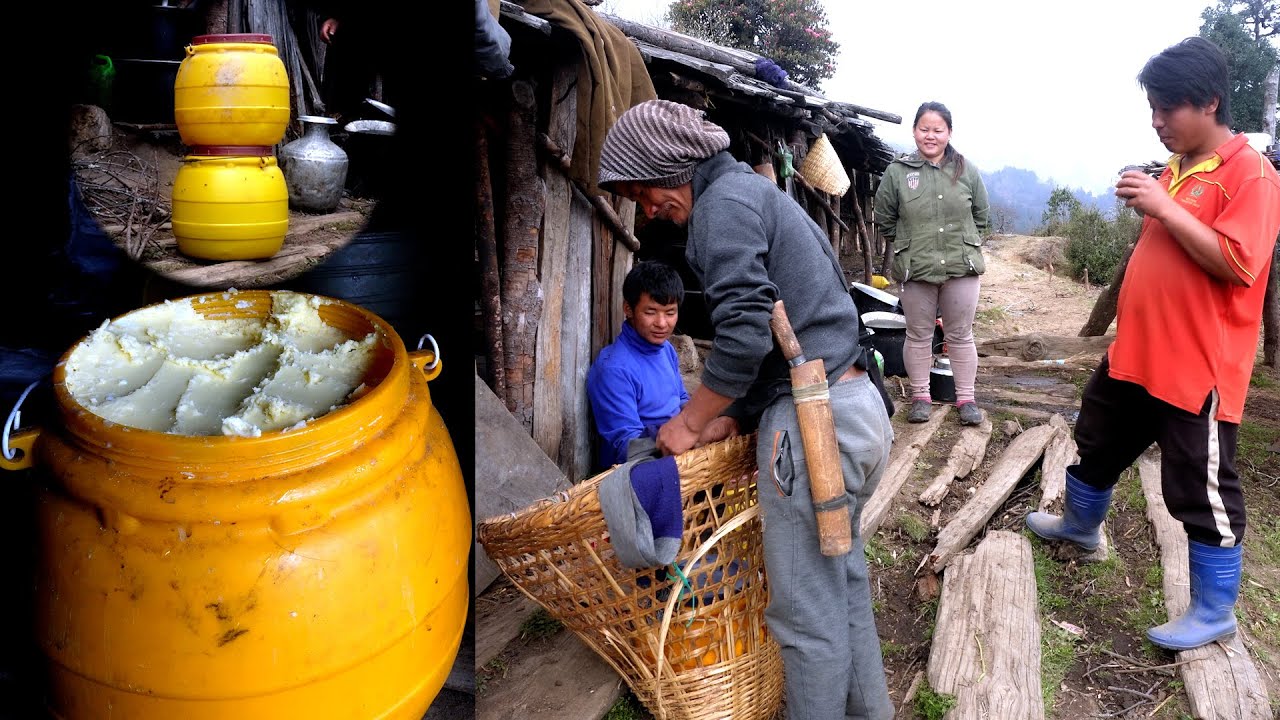 Going to yak shed to take ghee || Natural Himalayan Life of Nepal ...