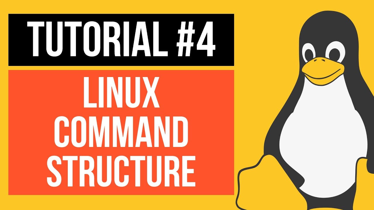 Understand Linux Command Structure - YouTube