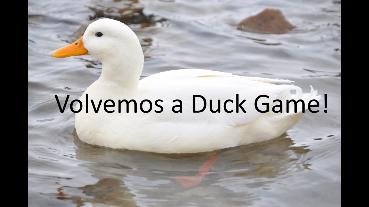 | Duck Game | (Handy VS Pezus VS WAHOO_SPEED) | Partida *PRO*| - YouTube