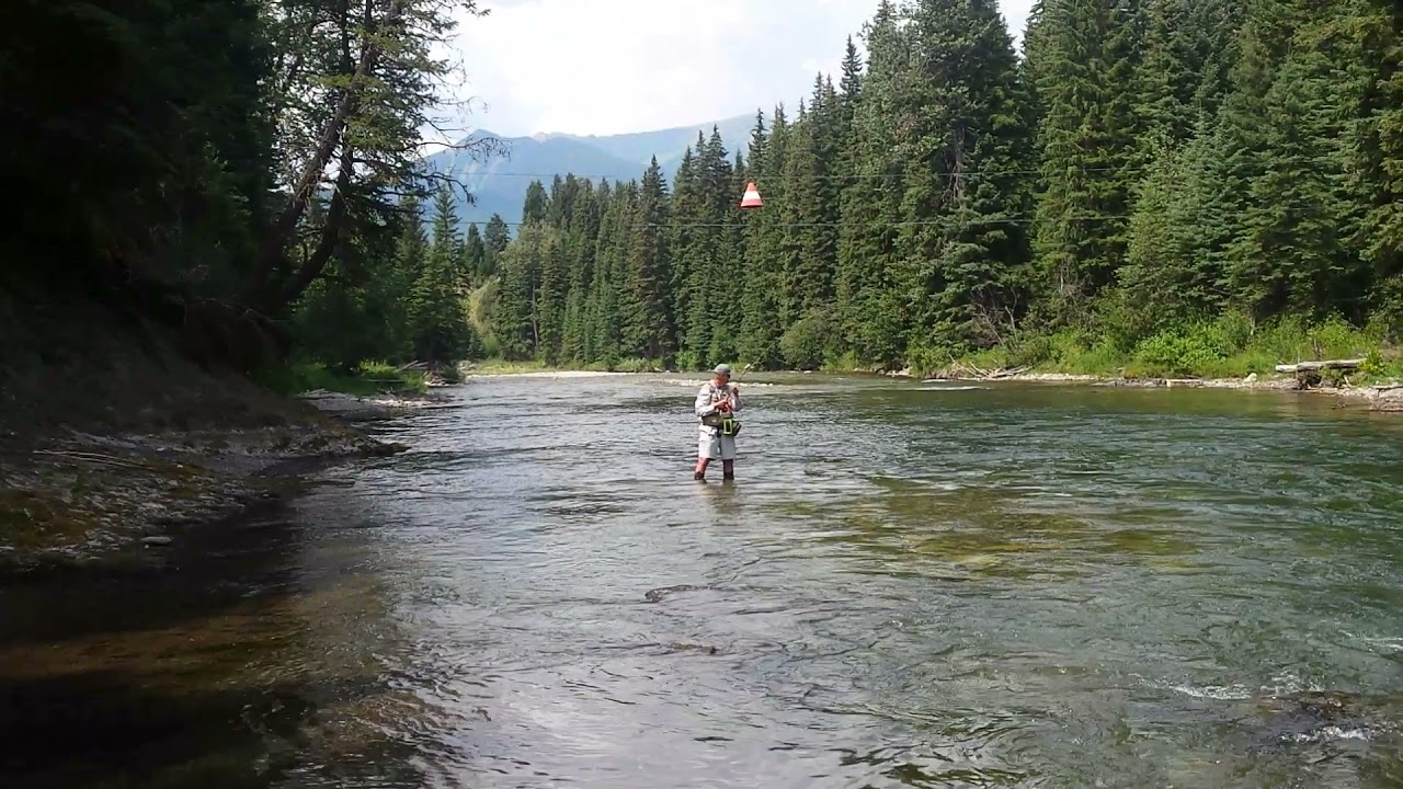 Westslope Cutthroat, BC Randy Grove July 26, 2018 - YouTube