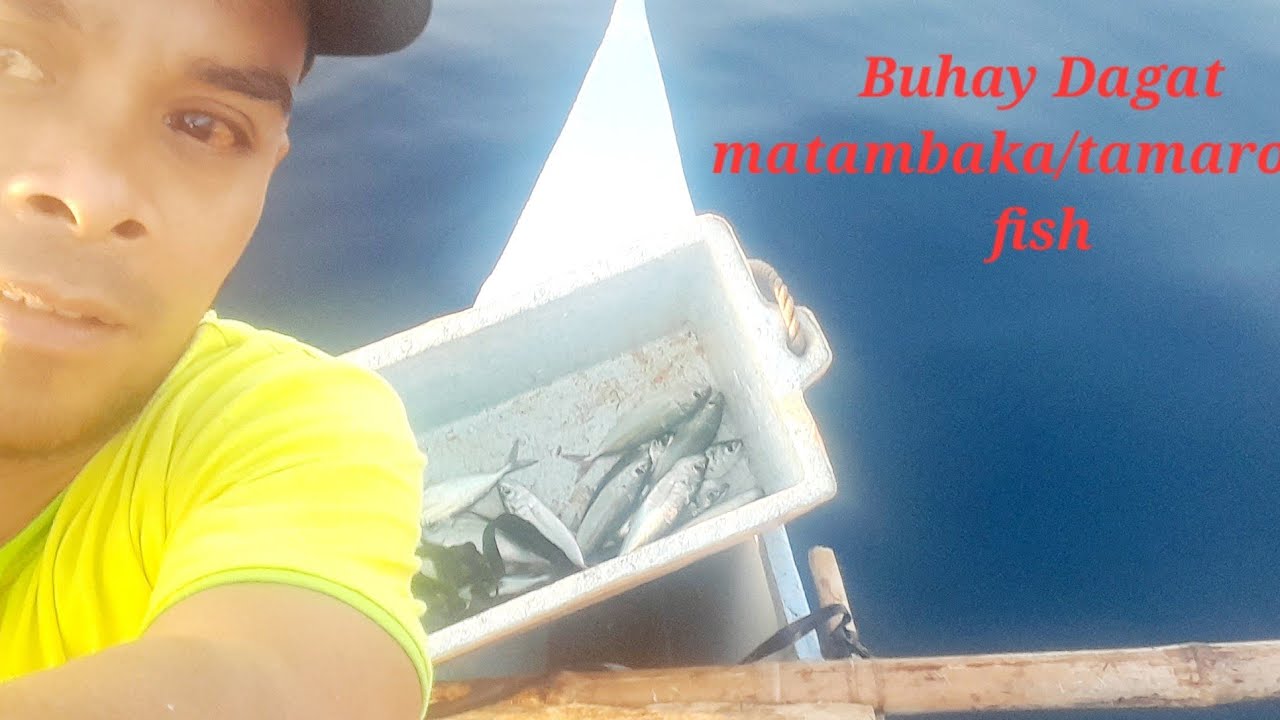 Buhaydagat netfishing traps matambaka and tamarong fish esp26#fishing# ...