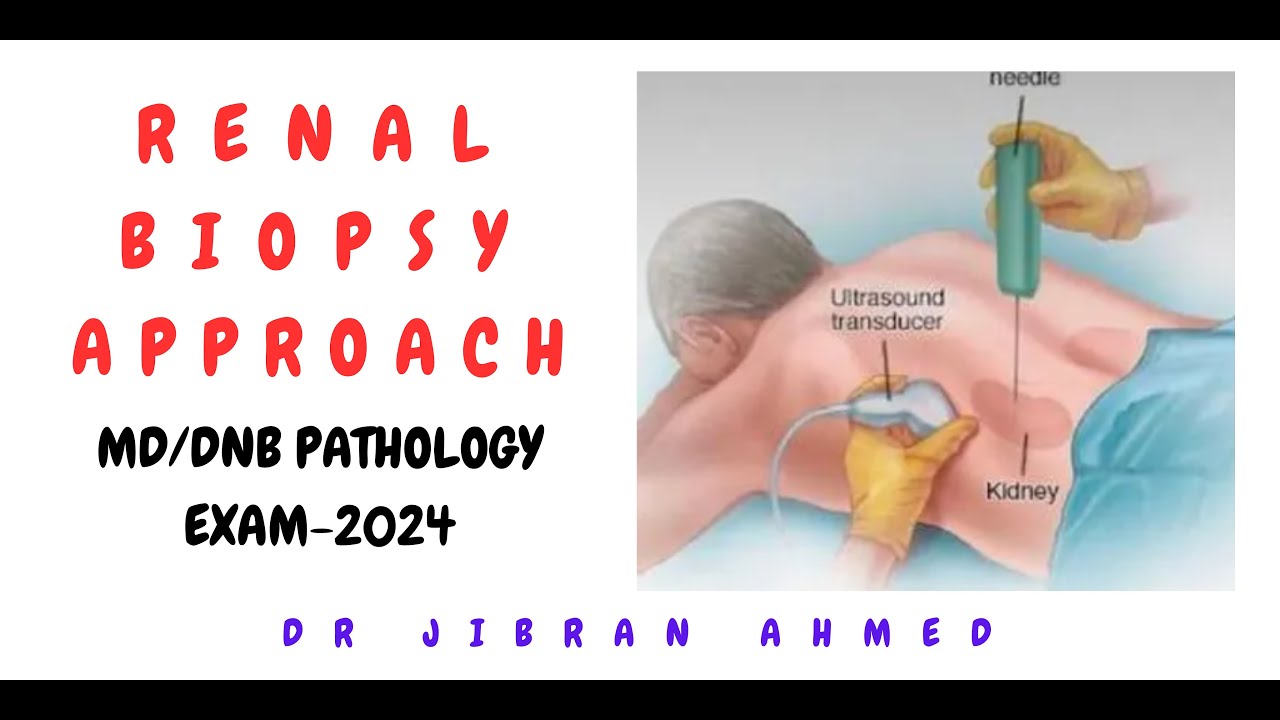 RENAL BIOPSY II PART 1 II POST GRADUATE LEARNING II BIOPSY SERIES II SIMPLY PATHOLOGY - YouTube