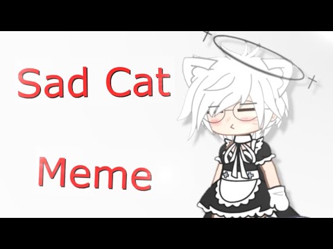 Sad Cat Meme ft. Pyko as a uwu catboy - YouTube
