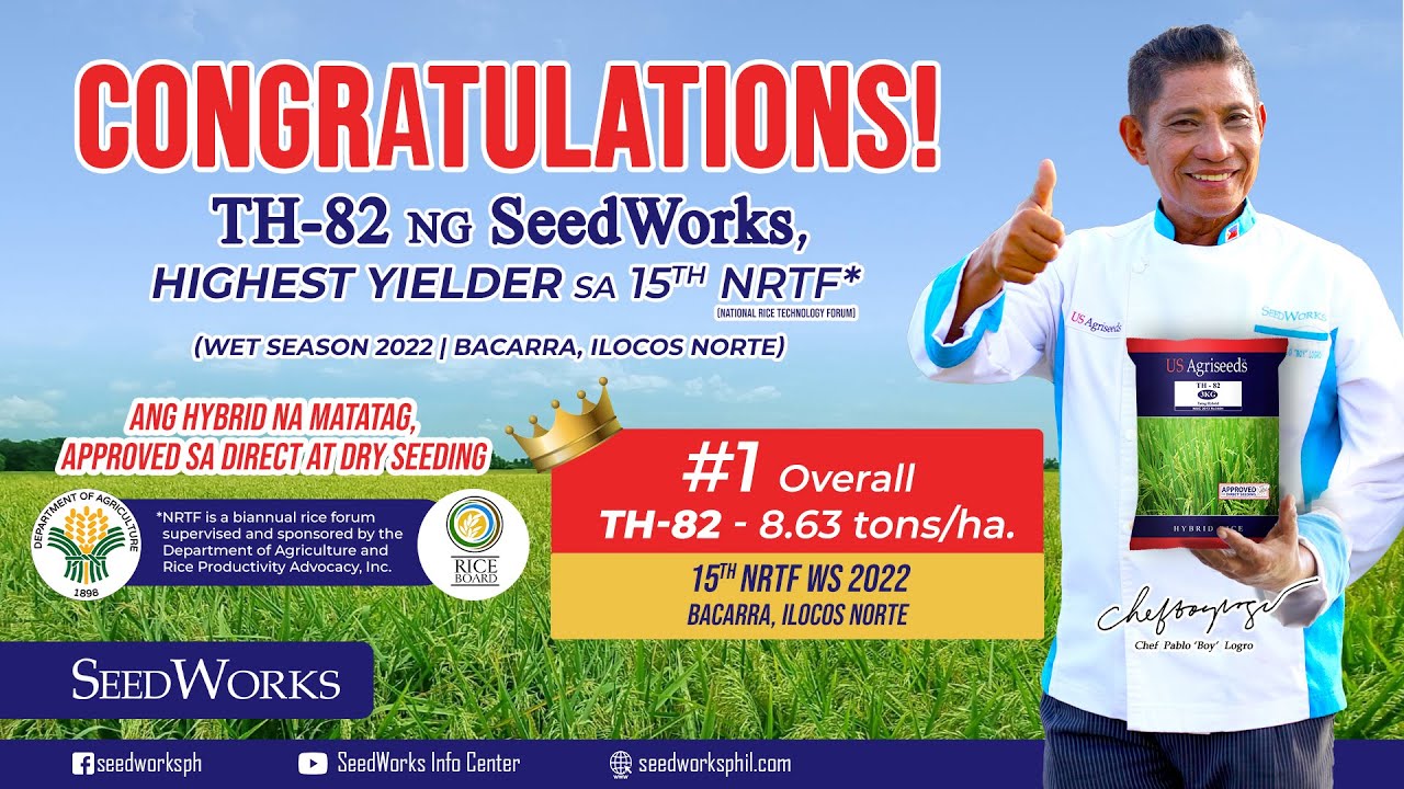 Th 82 Hybrid Rice Seed 1 Sa 15th Nrtf Sa Bacarra Ilocos Norte Youtube