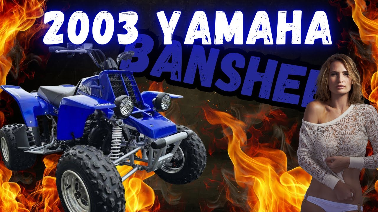 We Bought a Banshee! (2003 Yamaha Banshee First Look & Plans) - YouTube