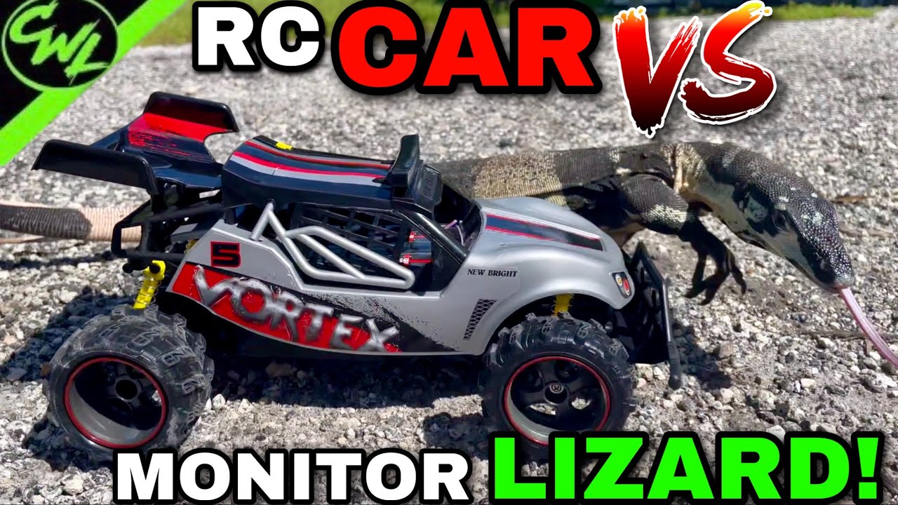 RC CAR VS LIZARD! - YouTube