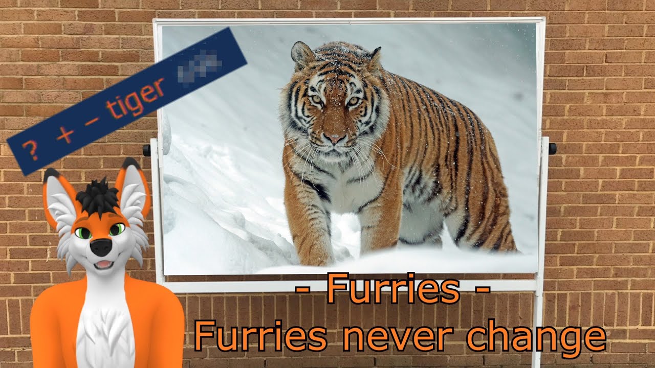 Furries never change | Accidentally Furry - YouTube