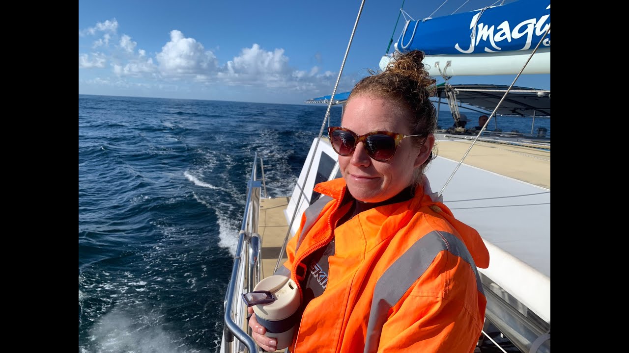 Mel & Greg - Dolphin Swim Port Stephens - YouTube