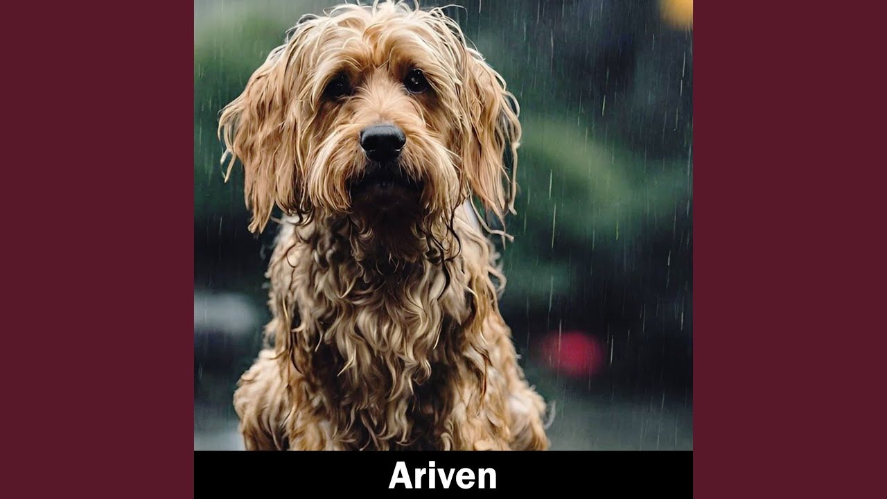 Ariven - YouTube
