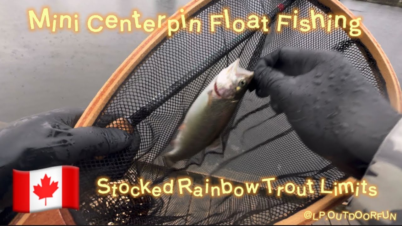 Stocked Rainbow Trout Limits | Mini Centerpin Float Fishing | BC Canada ...