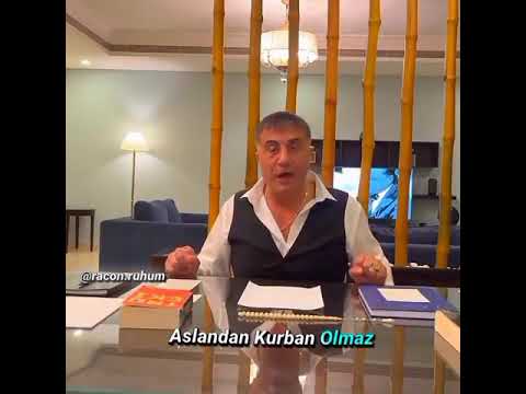 Reis sedat Peker aslan dan kurban olmaz