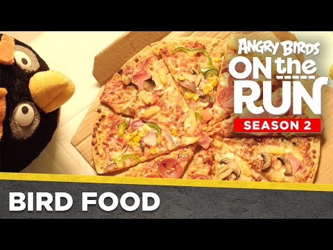 Angry Birds On The Run S2 | Bird Food - Ep4