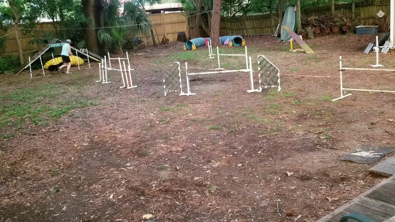 Doby #109175 masters gamblers course 2 - YouTube