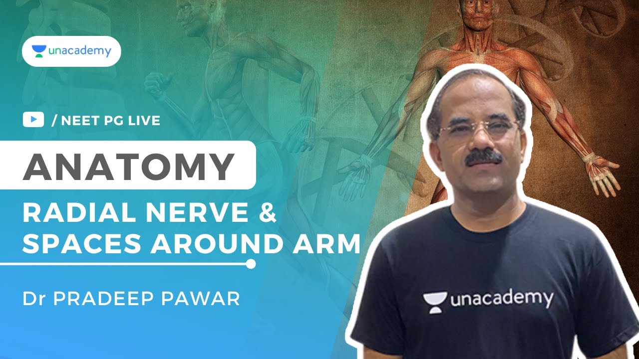 Prof 1 | Radial Nerve & Spaces around Arm. | Anatomy | Dr Pradeep Pawar ...