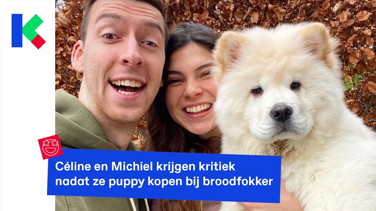 wat is een broodfokker en hoe herken je die? - YouTube