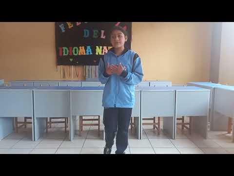 PARTICIPANTE: NIKI NINAY YUPANQUI ALCANTARA
