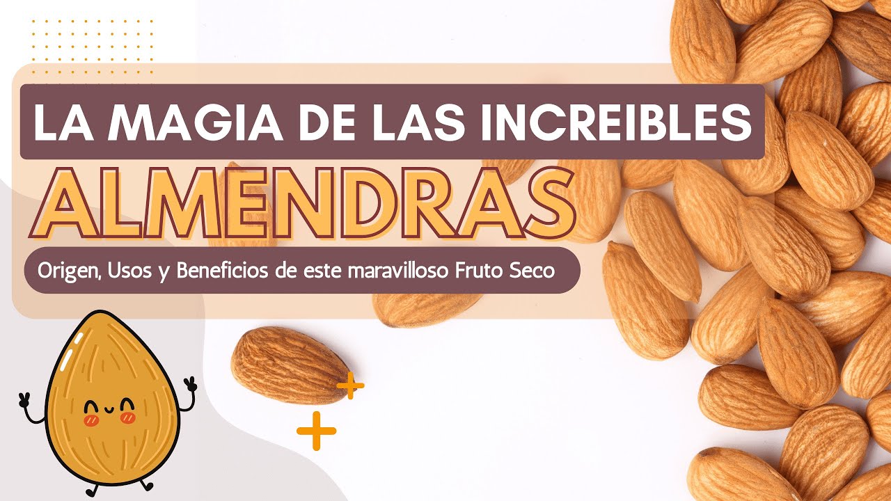 Beneficios de las almendras | 20 beneficios y propiedades de las ...