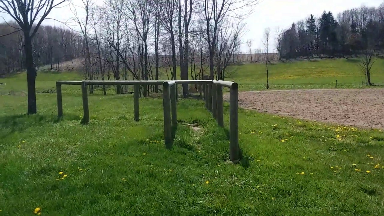 Level 2 'Walk Through' for the Stone Gate Farm Trail Challenges May 24 ...