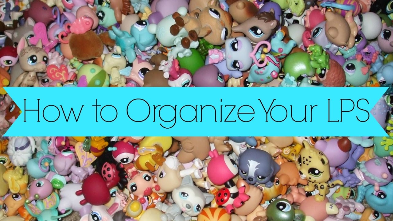 LPS: How to Organize Your LPS {Timelapse} - YouTube