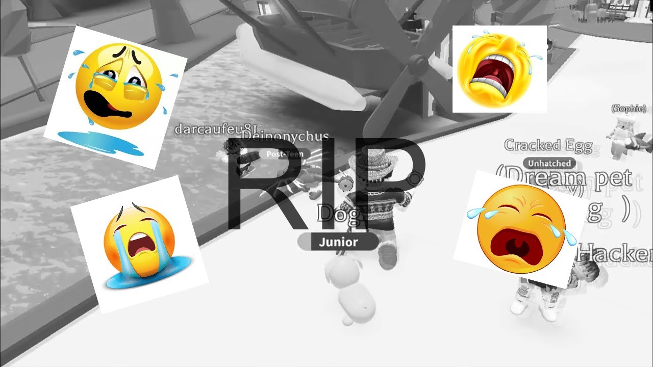 THE CORRECT WAY TO PLAY ADOPT ME (ROBLOX) (NEARLY CRIED) (2021) - YouTube