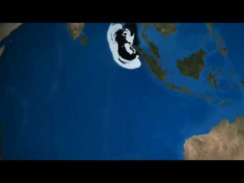 Tsunami Whatsapp status